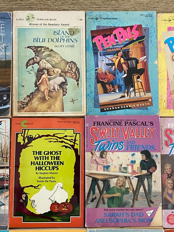 Vintage 80s 90s Childrens Chapter Books Lot of 25-Sweet Valley Twins ...