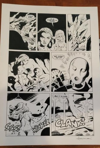 TIGRESS TALES #2 Original Mike Hoffman art, Page #13, Signed, published ...