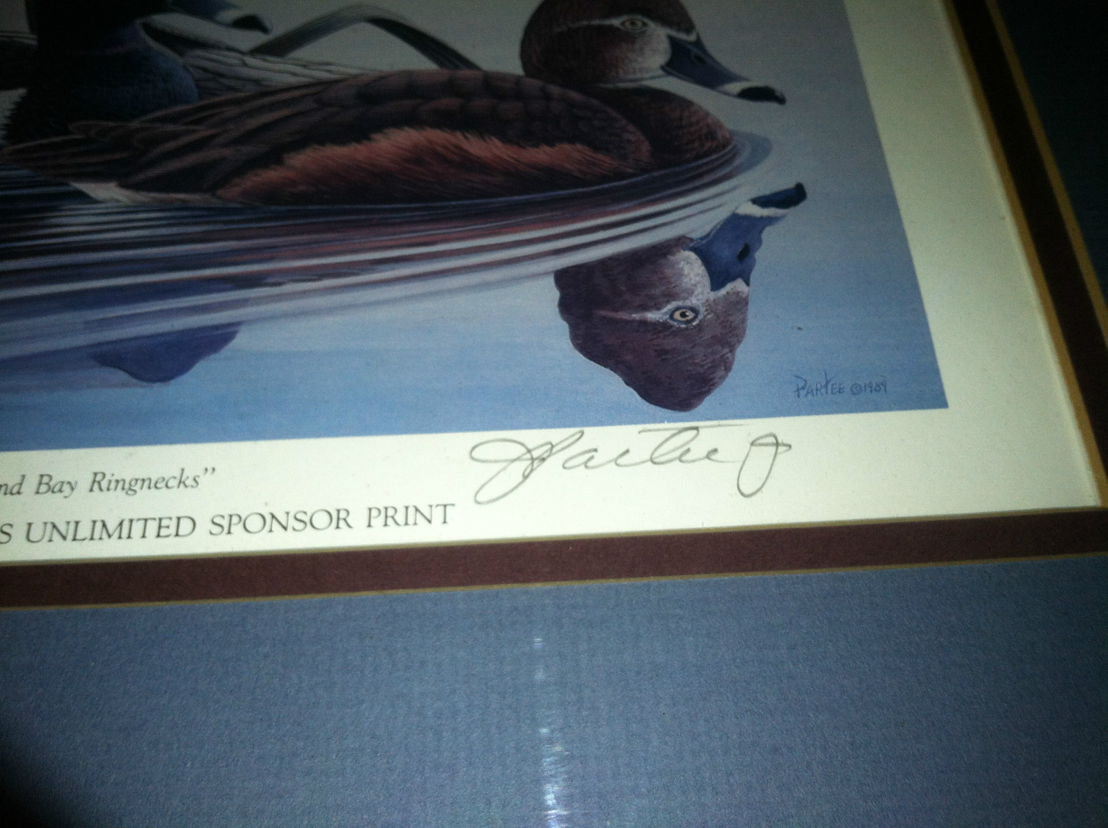 James E. Partee Signed & Framed Grand Bay Ringnecks Limited Edition ...
