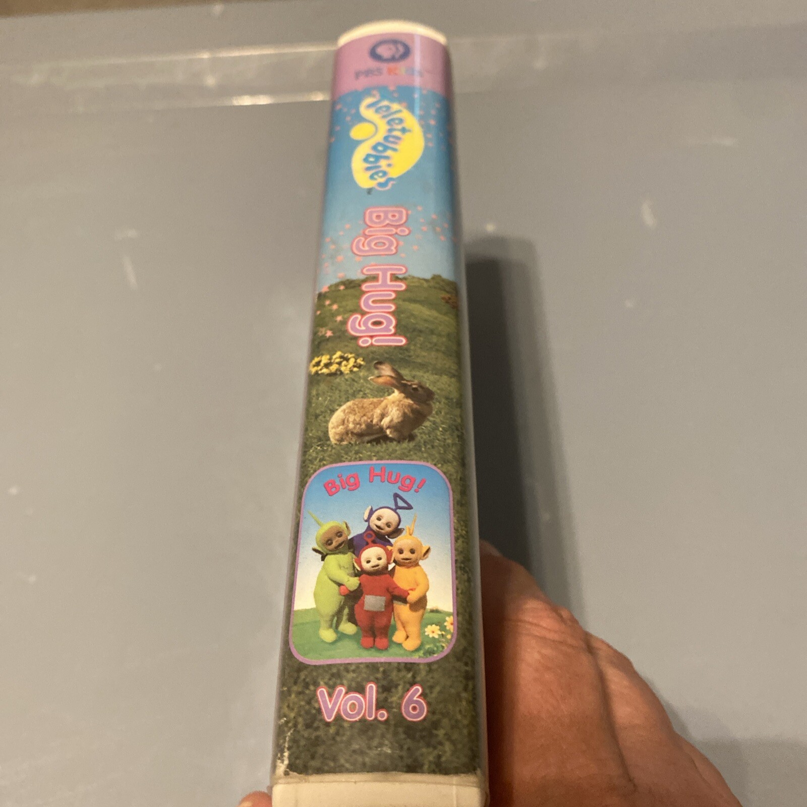 Teletubbies - Big Hug (VHS, 2000, PBS Kids Clam Shell) for sale online ...