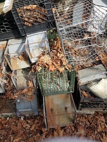 Havahart Style Trap Traps 12 Squirrel,Racoons,Large Small Some Need ...