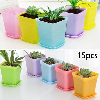 15Pcs Small Flower Pot Simple Succulent Plant Pot Plastic Pots For Living Room | eBay Australia
