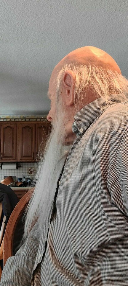 Halloween realistic halloween Silicone Mask old man Bearded prop like ...