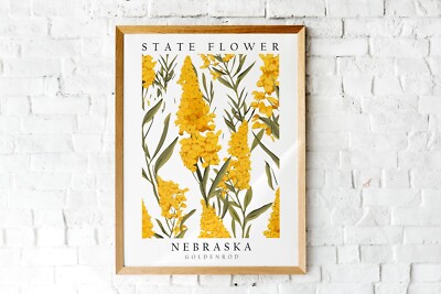 Goldenrod, Nebraska State Flower, Poster Print, Wall Décor | eBay