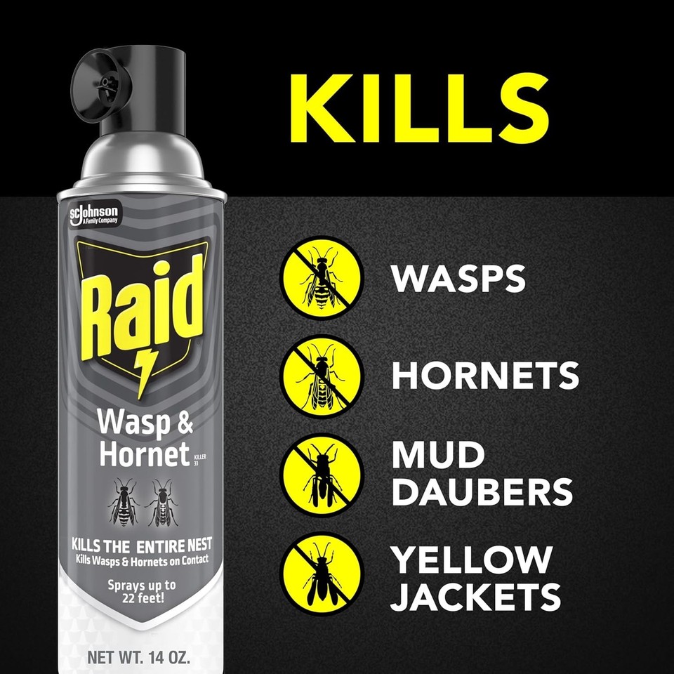 Raid Wasp & Hornet Killer Spray, 14 Oz, 2-Pack – Kills Entire Nest | eBay