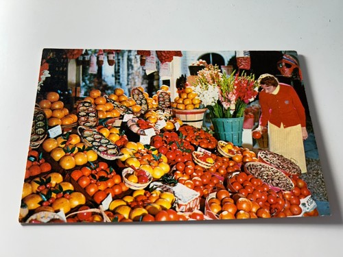 Florida Fruit Shippers Arrange Displays of Tropical Fruit Postcard | eBay