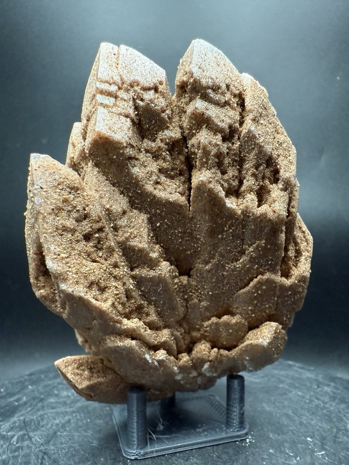 Sand Included Selenite Desert Rose Inner Mongolia Mineral Specimen | eBay