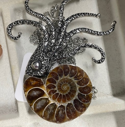 Ammonite Necklace Pin Fossil Shell Silver Natural Statement 24” Chain ...