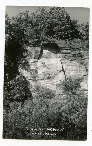 Real Photo Postcard - Cow In The Milk Bottle, Lower Dells, Wisconsin | eBay