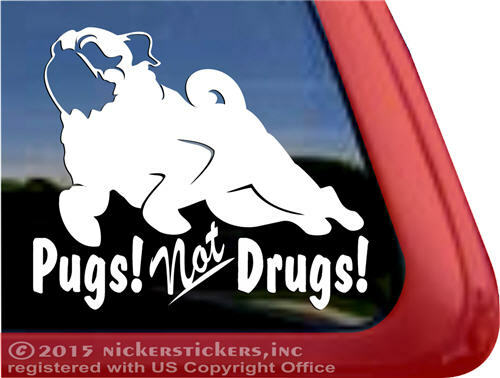 Pugs Not Drugs | Vinyl Dog Window Decal | eBay