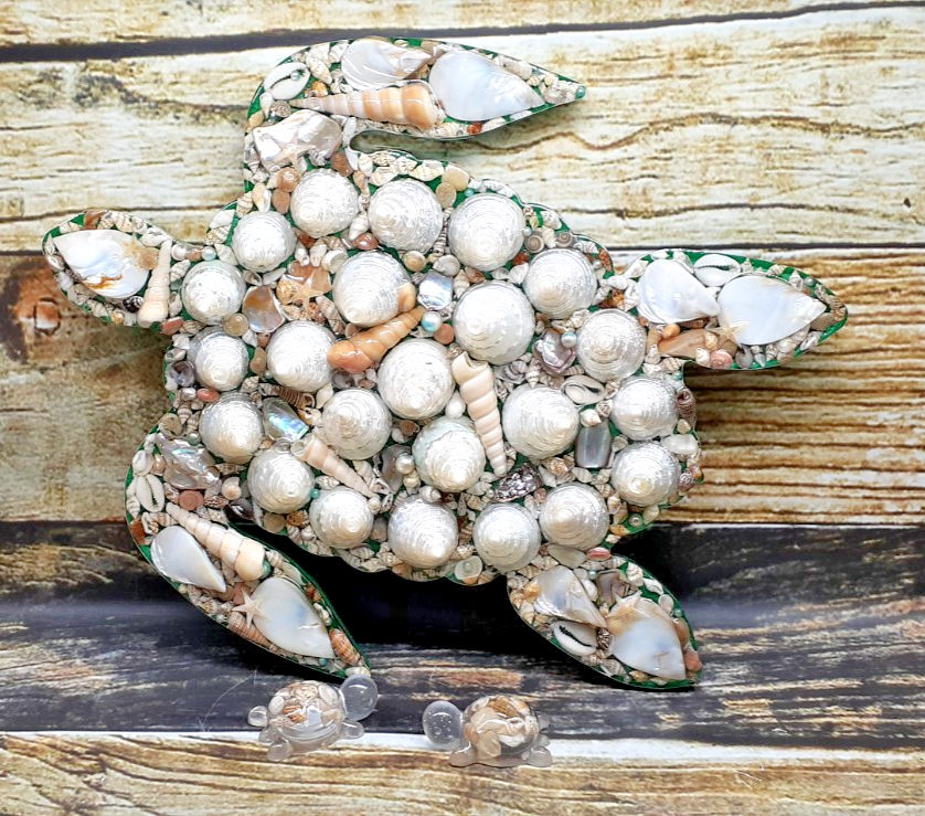 Seashell turtle display handmade with resin and seashells | eBay