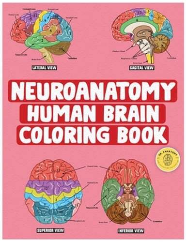 Neuroanatomy Human Brain Coloring Book: Neuroscience Coloring Book with ...