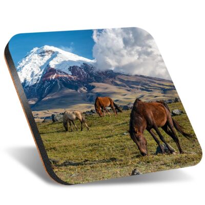 1x Square Coaster 12cm Wild Horse National Park Ecuador #52472 | eBay