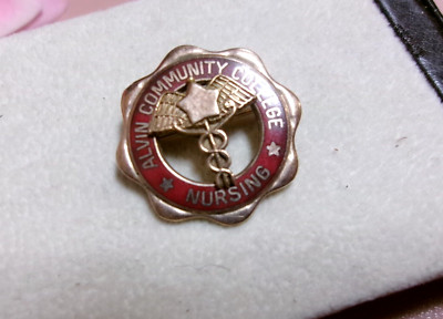 4.4 Grams~Vtg 10K Gold College Nursing School Lapel Pin~Initials MMS | eBay