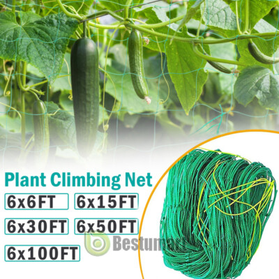 Garden Net Plant Climbing Netting Barrier Bird Net Plant Grow Protect ...