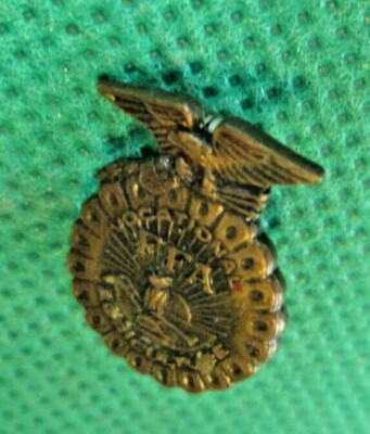 Vintage FFA Future Farmers of America Lapel Pin 0.75" | eBay