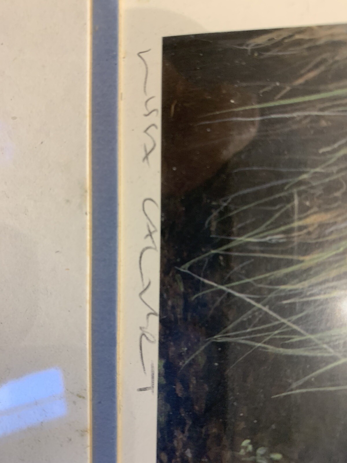 Lissa Calvert Signed And Numbered Print The Sentinel Framed 26x21 | eBay