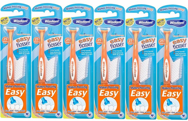 Wisdom Easy Floss Daily Flosser for sale online | eBay