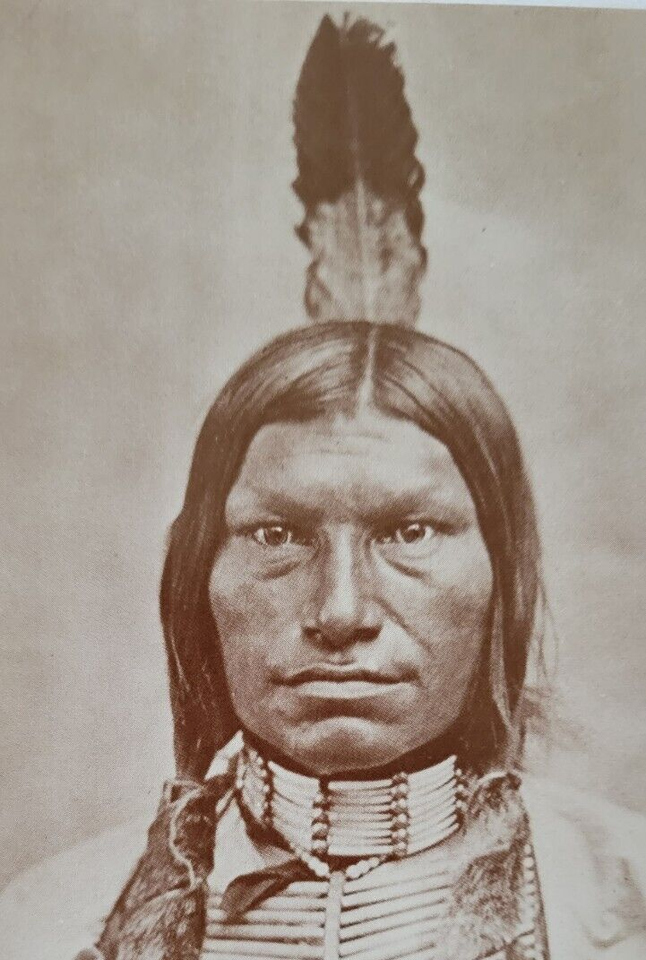 Oglala Sioux Chief Low Dog Northern Cheyenne Tribe Postcard Vintage | eBay
