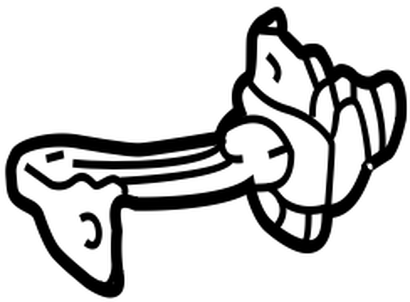 68620-33050 Toyota Check assy, front door, lh 6862033050, New Genuine ...