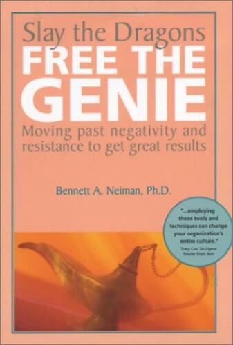 Slay the Dragons, Free the Genie: Moving past negativity and resistance ...