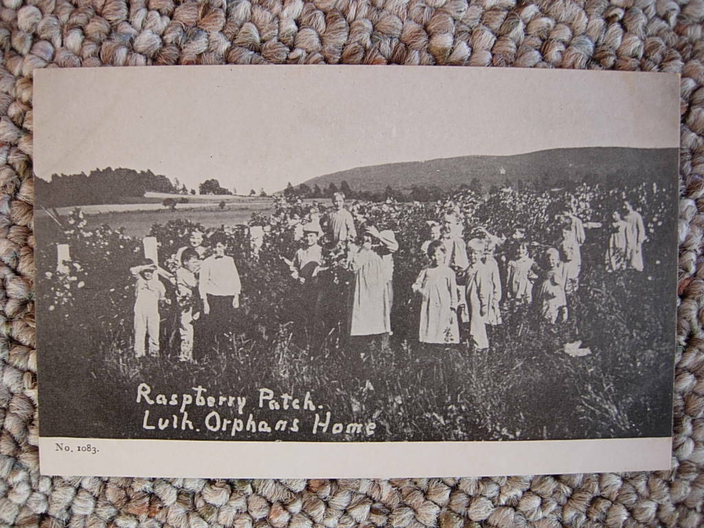 TOPTON PA-RASPBERRY PATCH-LUTHERAN ORPHAN HOME-READING-BERKS COUNTY ...