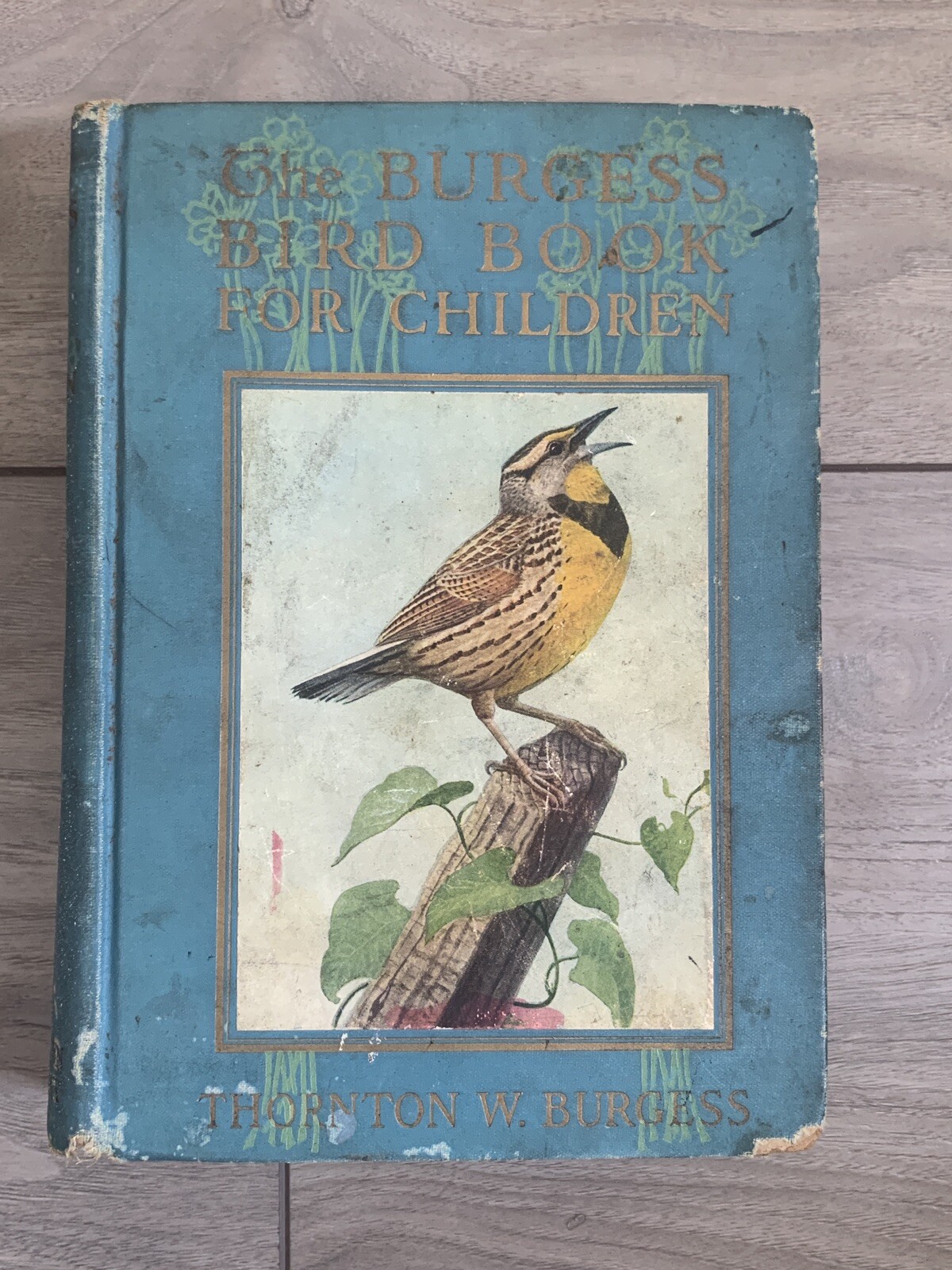 The Burgess Bird Book for Children by Thornton W. Burgess Hardcover ...