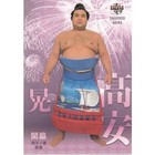 Takayasu Akira Sumo Card 17Bbm Soul 08 Collectible Used | eBay