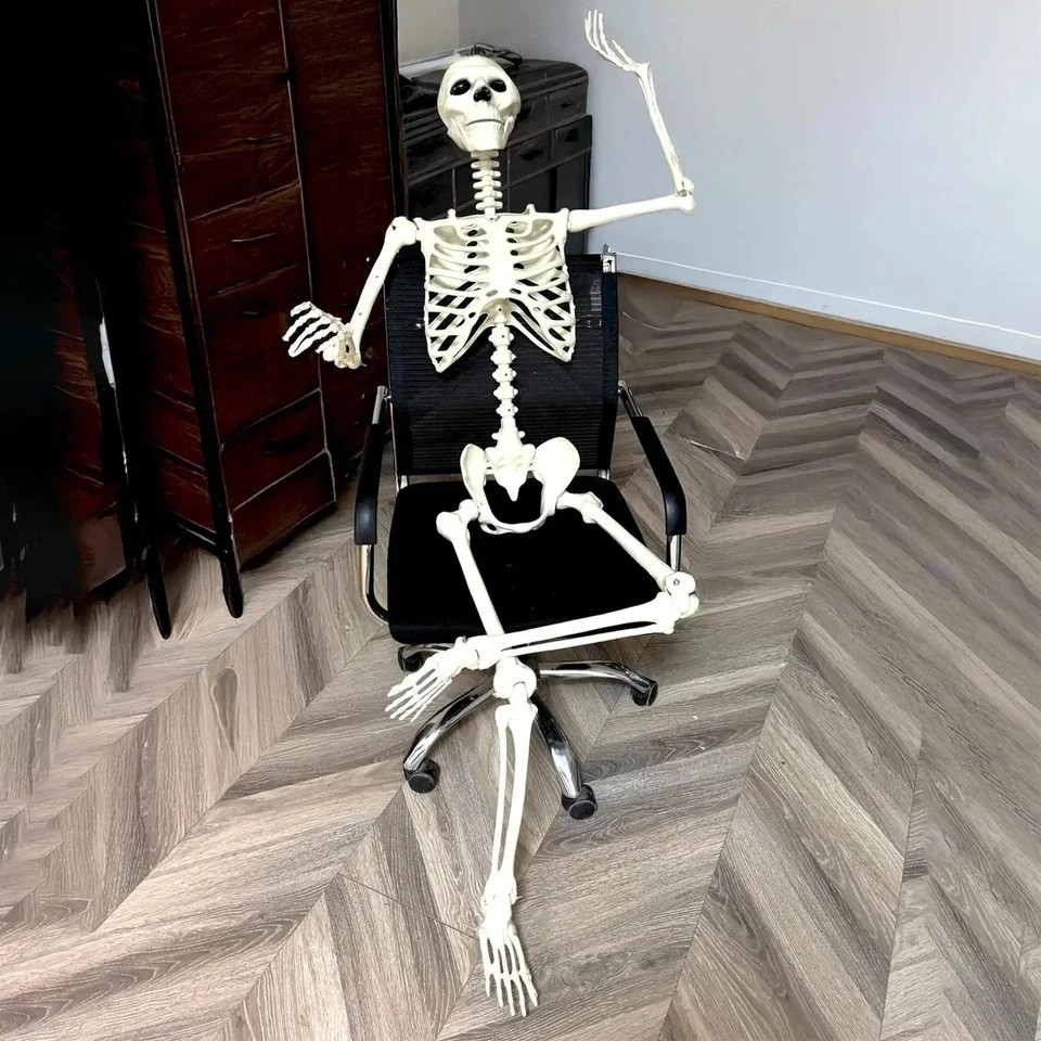 Halloween Realistic Body Bones Life Size Human Skeleton With Posable ...