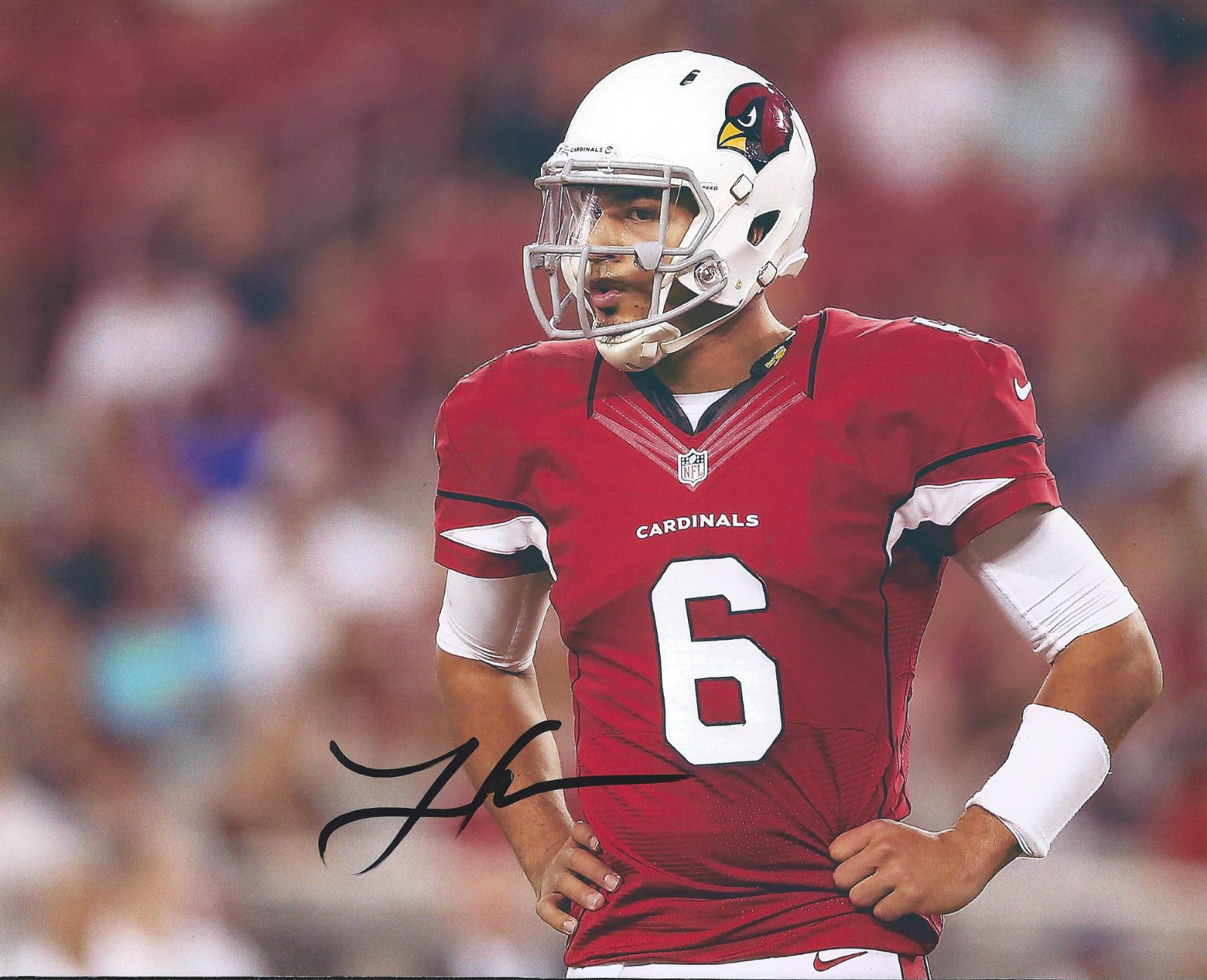 Arizona Cardinals #6 LOGAN THOMAS Signed Autographed Football 8x10 ...