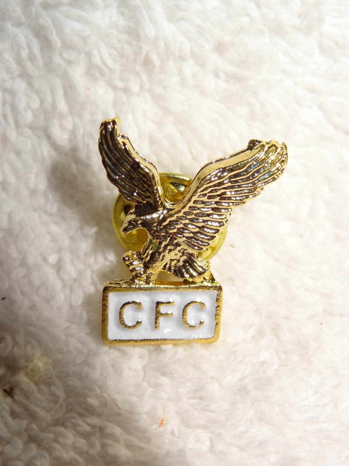 CFC Eagle Pin Pinback- Combined Federal Campaign | eBay