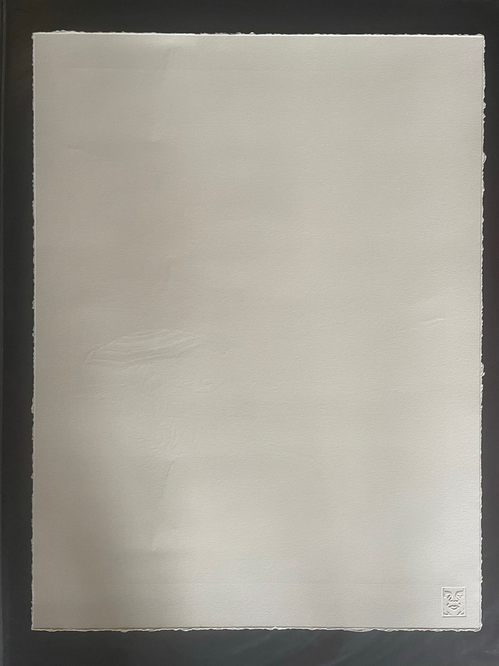 SHEPARD FAIREY * BLISS AT THE CLIFFS EDGE * LETTERPRESS * 2024 OBEY ...