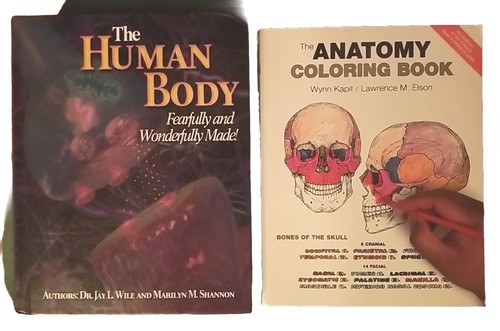 The Human Body - Fearfully and Wonderfully Made. Anatomy Coloring Book ...