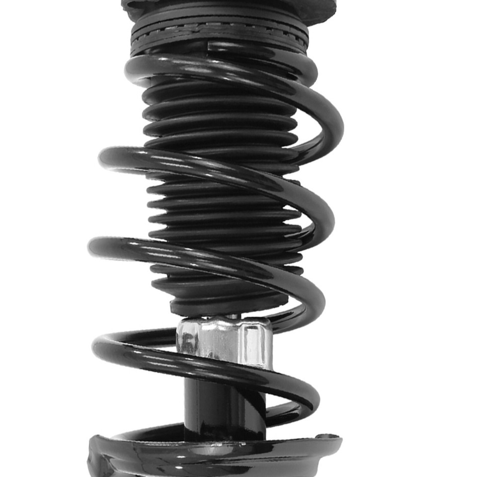 Front Left Right Struts w/ Coil Spring Assembly for 2015-2020 Ram ...