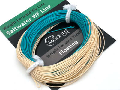 Moonlit Fly Fishing WF Salt Water Floating Fly Line Ocean Blue/Sand) | eBay