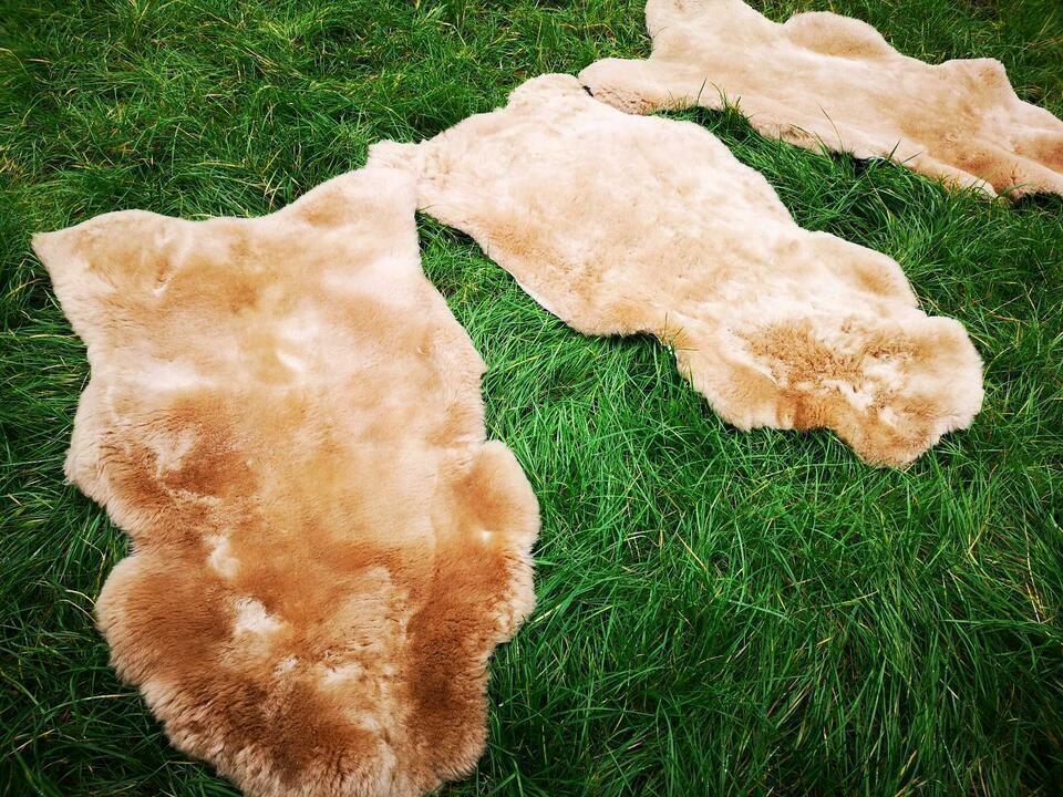 Real German Merino Lambskin Sheepskin Light Brown Dense Wool New L ...