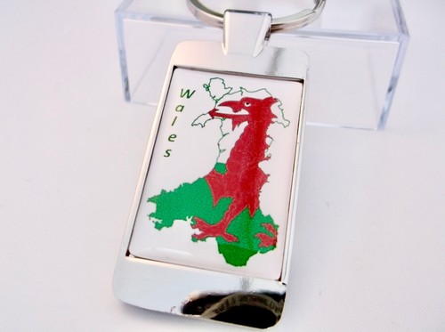 WALES WELSH FLAG BADGE MAP KEYRING KEY FOB BOTTLE OPENER CHAIN GIFT | eBay