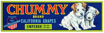 ORIGINAL CRATE LABEL VINTAGE CHUMMY TERRIERS DOG PUPPY ORIGINAL PETS ...