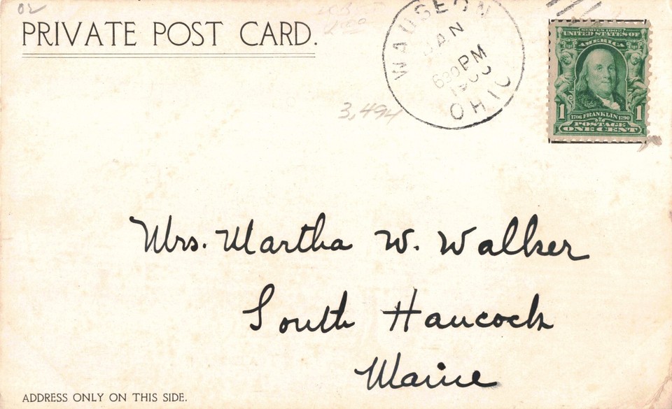 Private Post Card Ohio Wauseon South Park 1906 V49 | eBay
