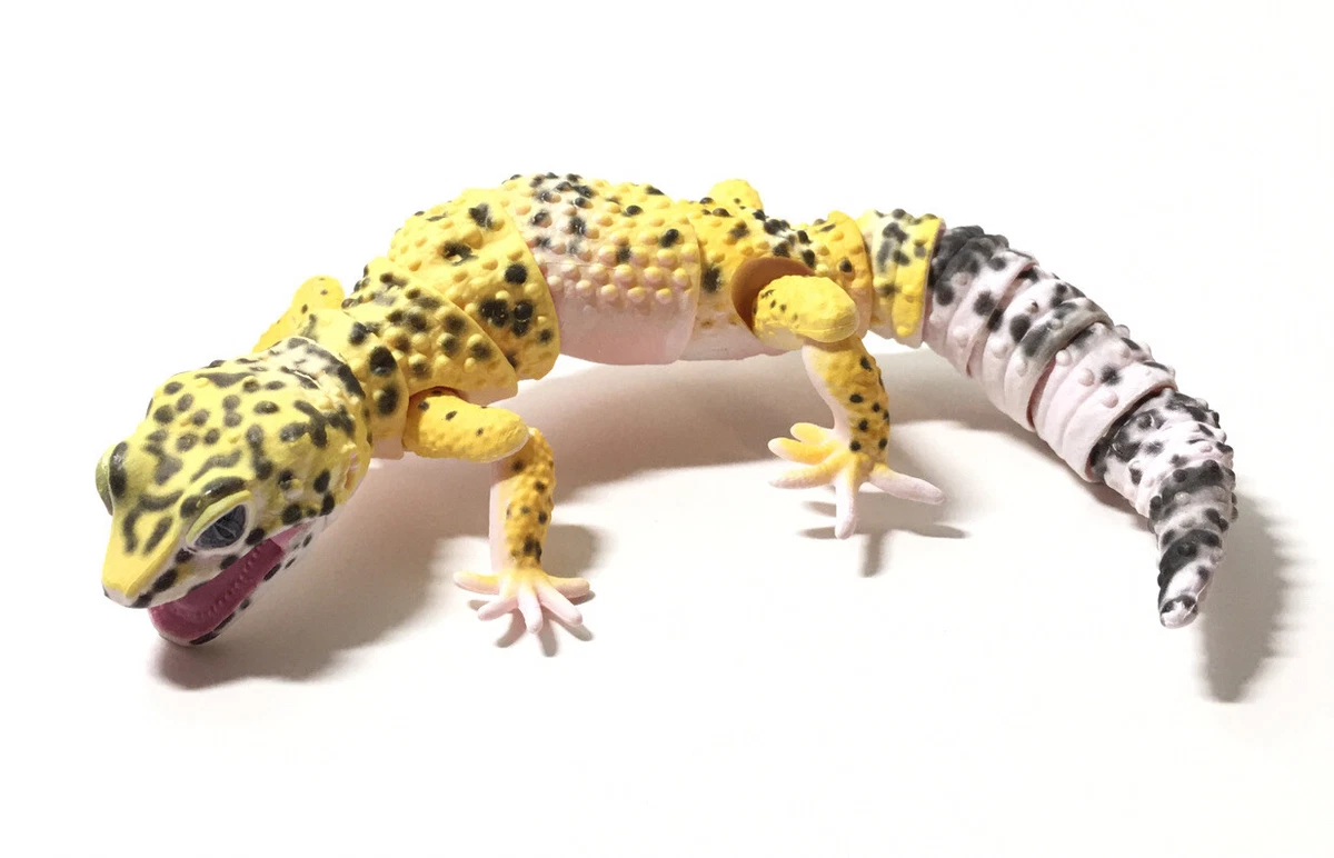 Leopards Spotted Lizards Black And White