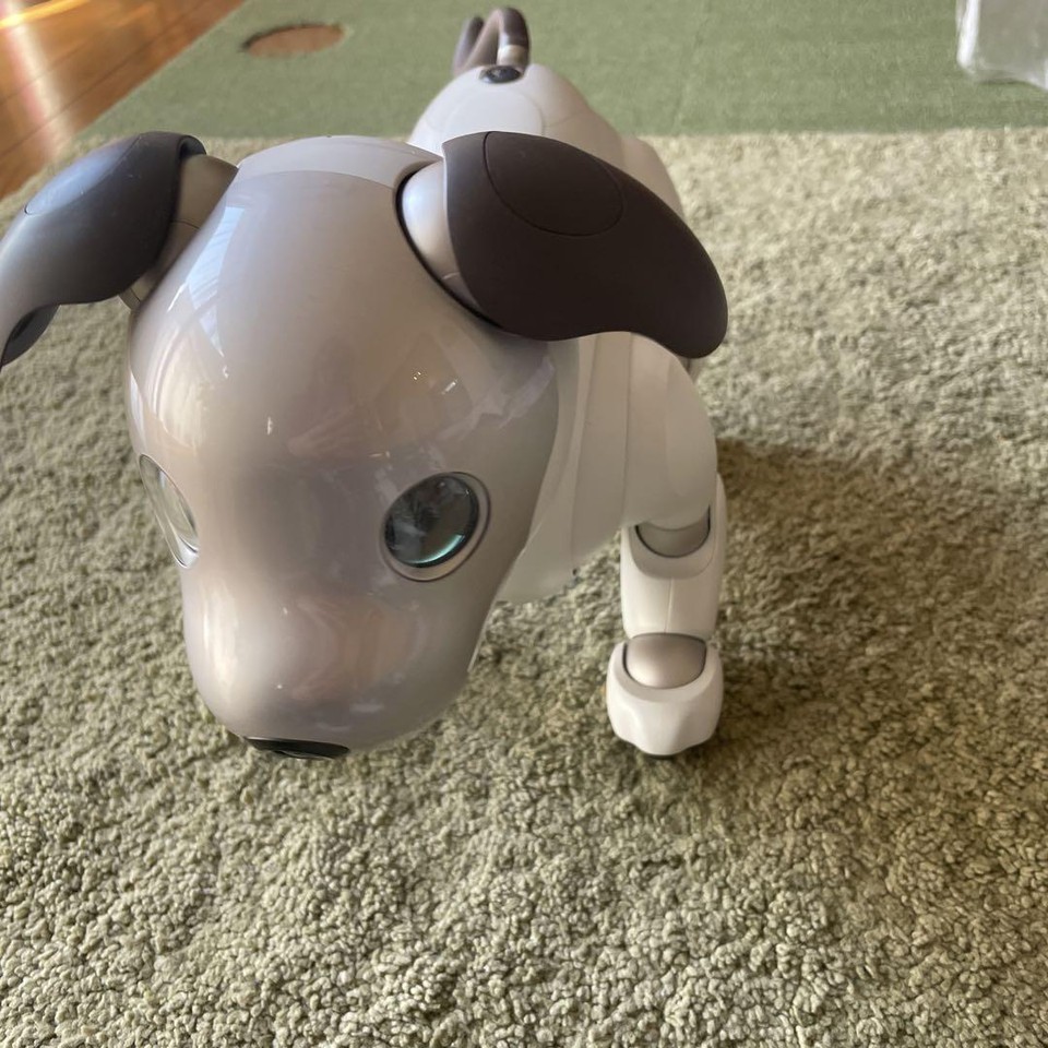 Aibo main unit ERS1000 with product key SONY Toys Hobbies Goods Dog Pet ...