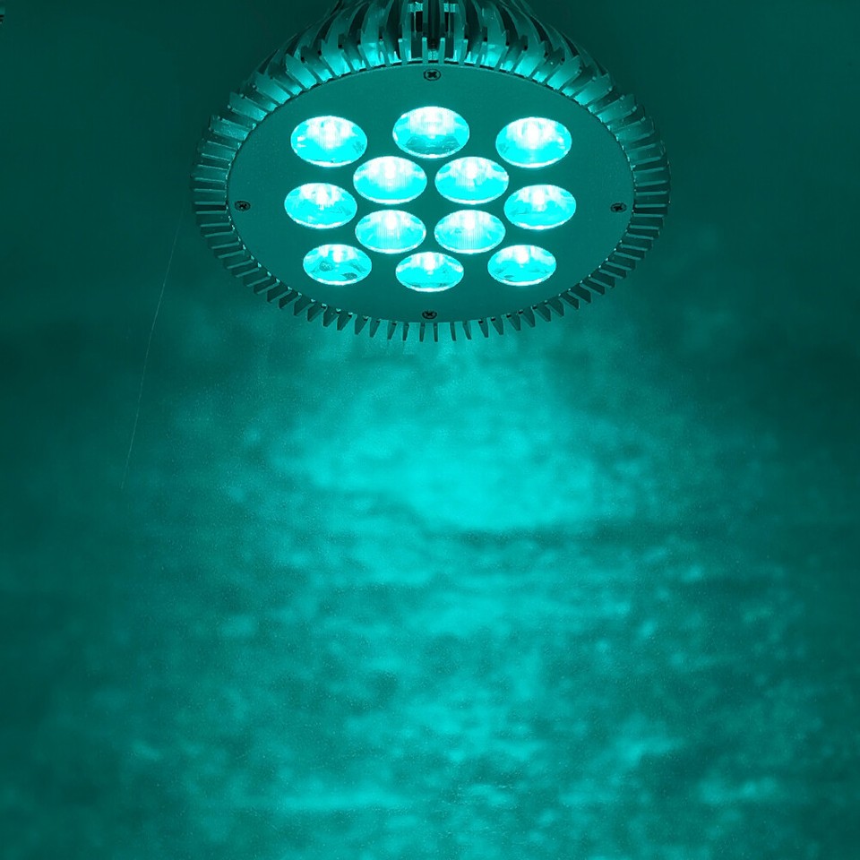 36W Cyan Blue 450nm / 470nm /500nm LED Lamp Spot Light Bulb PAR38 Plant ...