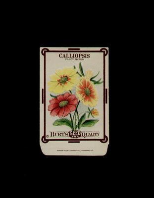 ANTIQUE 1910's BURT'S CALLIOPSIS SEED PACKET ~L@@K~ | eBay