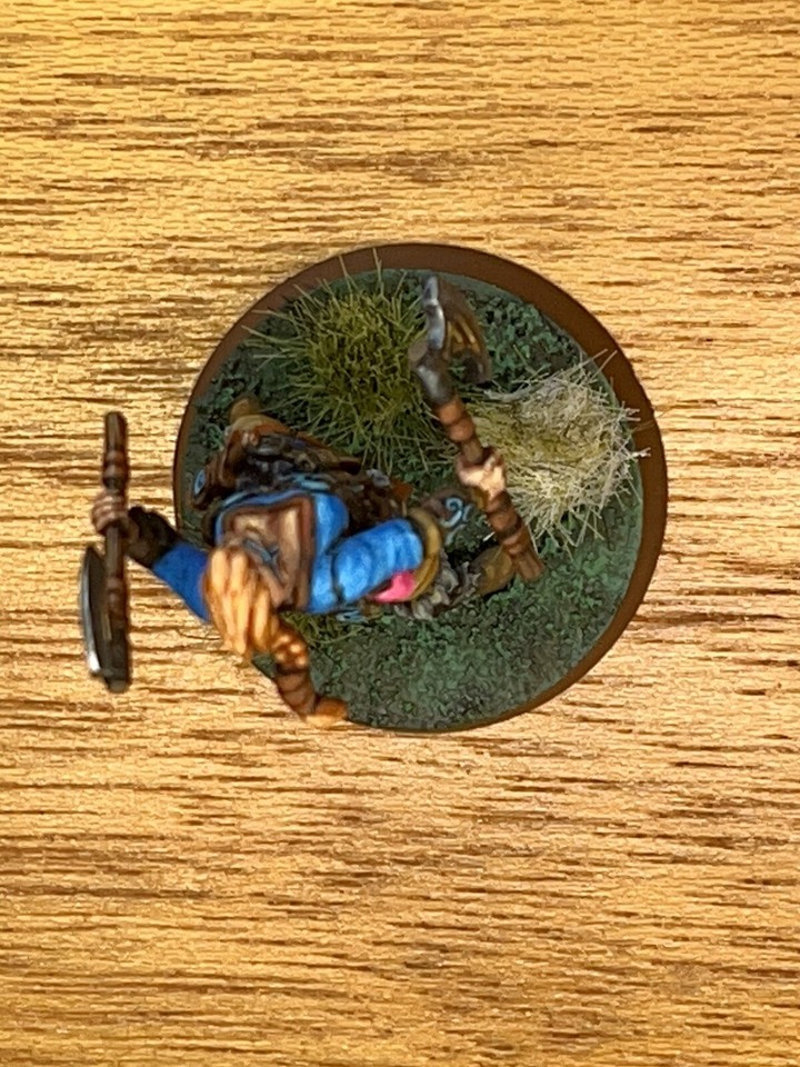 Painted Miniature Fighter, Painted D&D Miniature Pro Painted DND ...