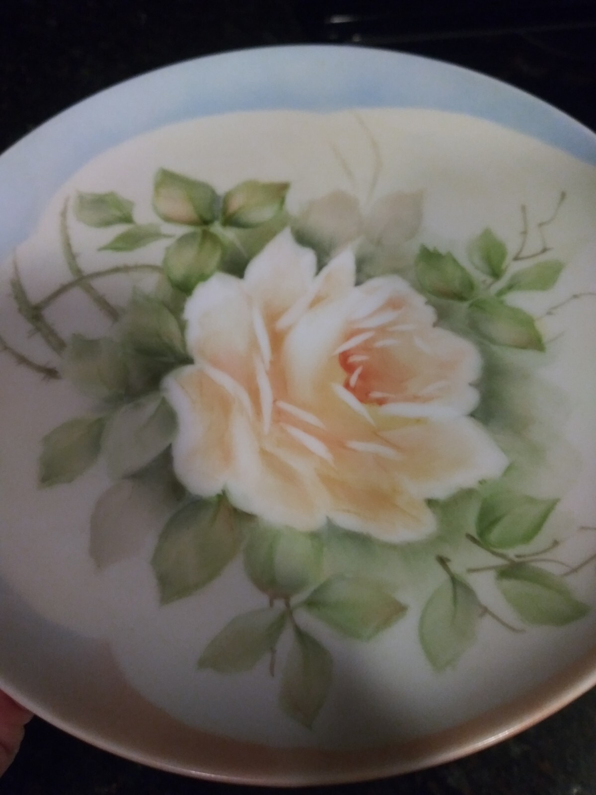 Vintage Unmarked Hand Painted Peach Rose German Decorative Plate 8" OBO ...