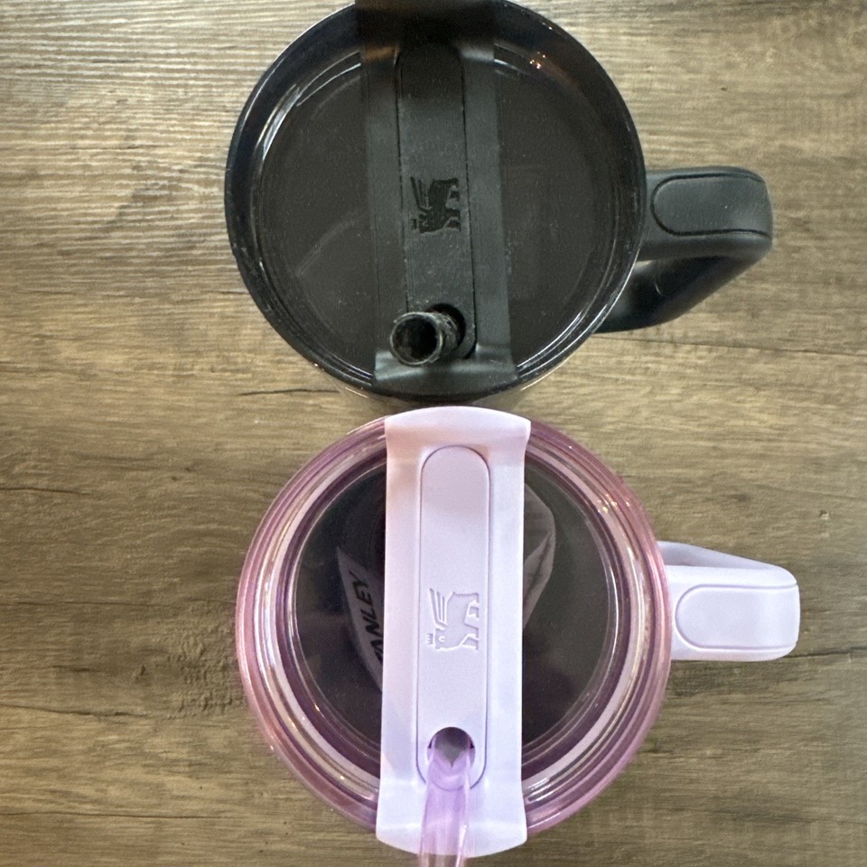 40oz Set of 2 Glinda Elphaba Stanley Wicked For Good FlowState Quencher ...