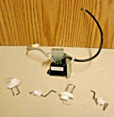 ITWR1-105000180 Ignitor for Rinnai RL75i, RL94i (VC) & FOUR FLAME ROD ...