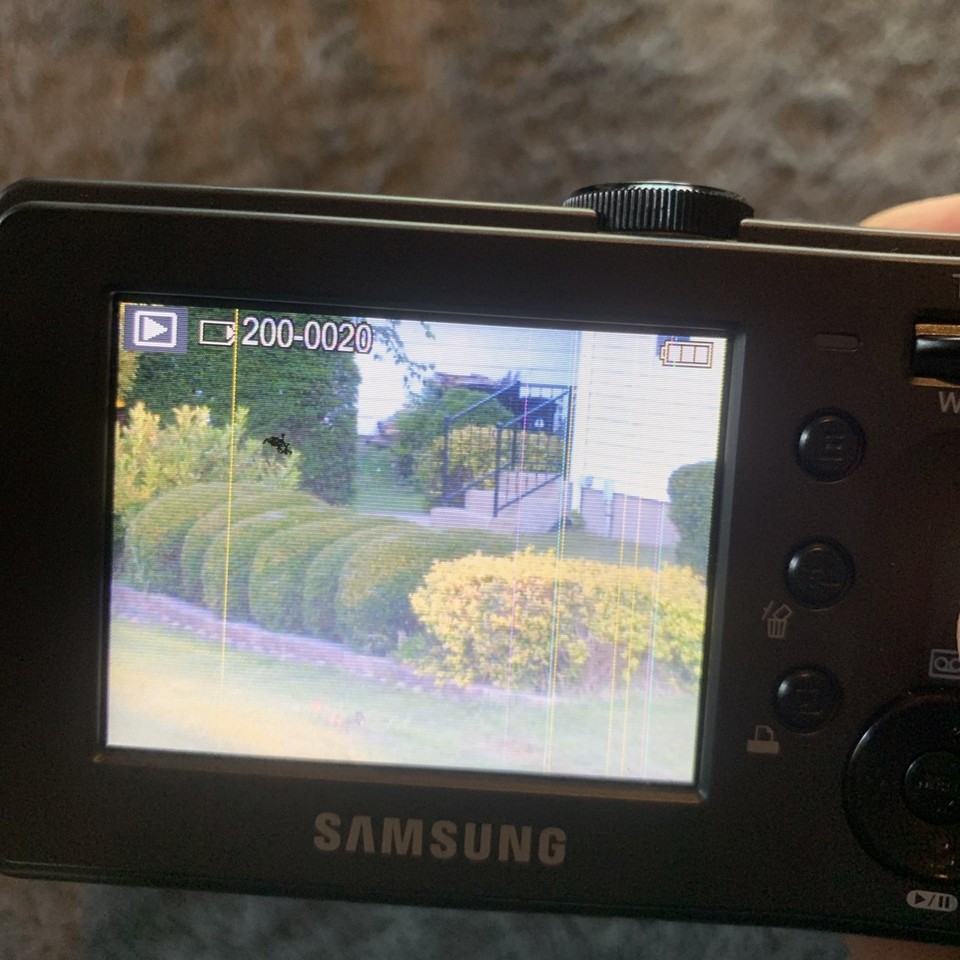 Samsung S730 7.2MP Compact Digital Camera - Black - READ - FREE SHIP ...