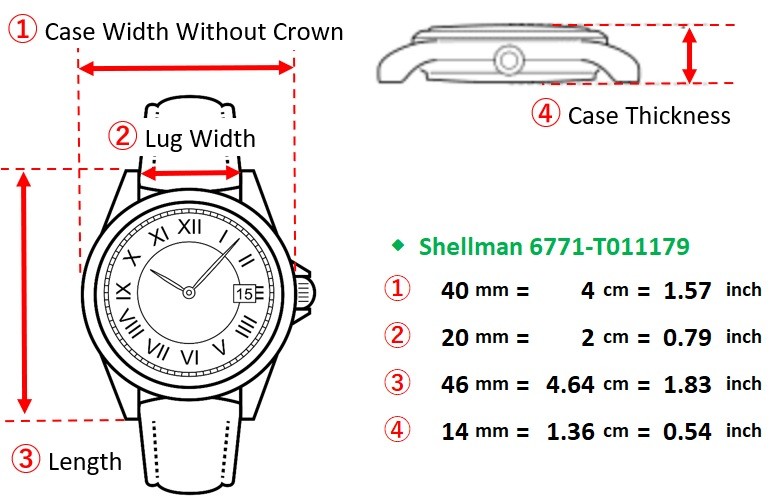 [N MINT] SHELLMAN Grand Complication Premium 6771-T011179TA Quartz Men ...