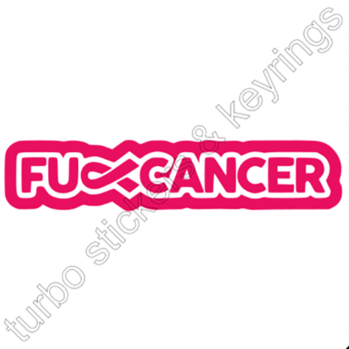 2x FU CANCER CAR TRUCK AWARENESS VINYL STICKER 8 COLOURS 120MM x 25MM ...